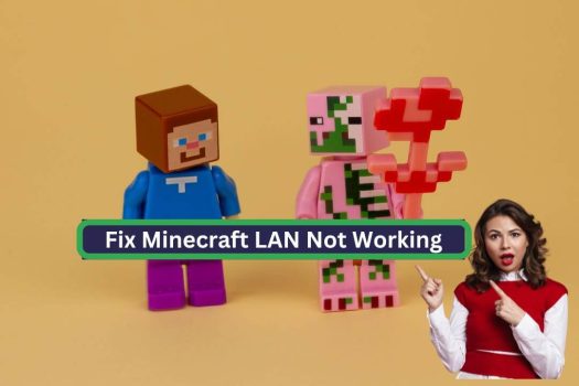 10 Ways to Fix Minecraft LAN Not Working - PCVenus
