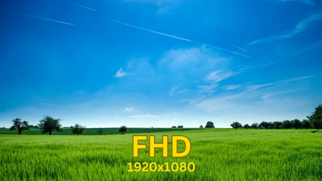 HD vs FHD: A Detailed Comparison - PCVenus