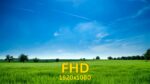 HD vs FHD: A Detailed Comparison - PCVenus