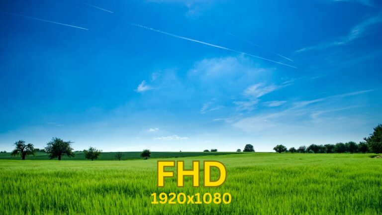 HD vs FHD: A Detailed Comparison - PCVenus