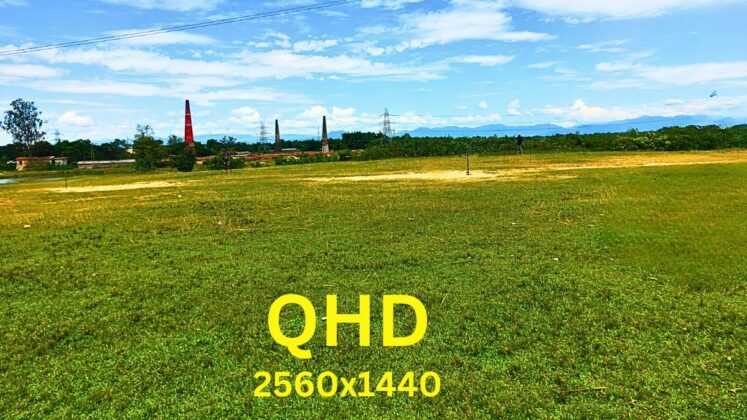 QHD vs FHD: A Detailed Comparison - PCVenus
