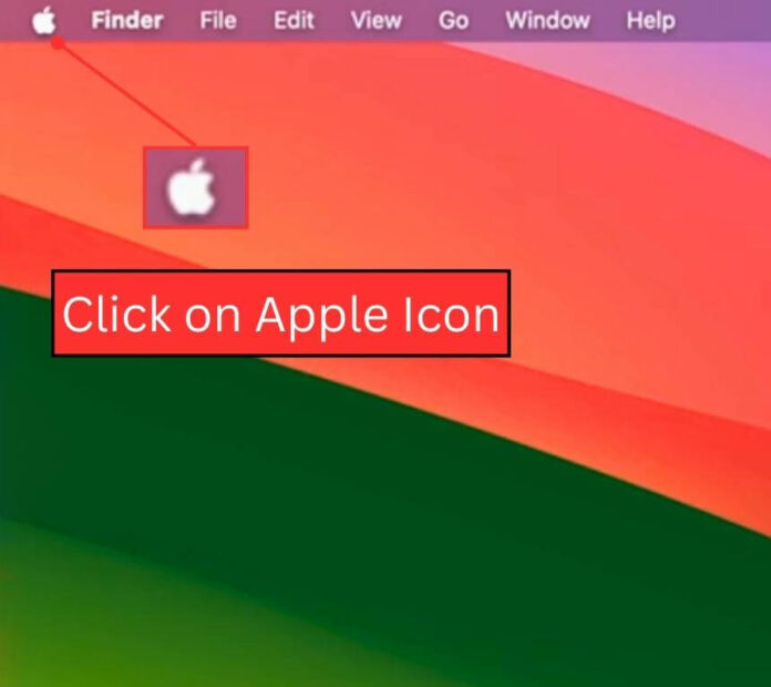 How to Check MAC Address? [Step-by-Step Guide] - PCVenus