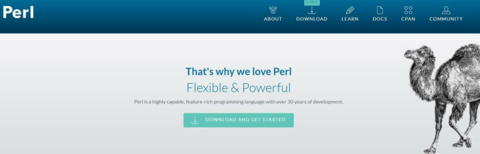 Most Popular Programming Languages in 2025 - PCVenus