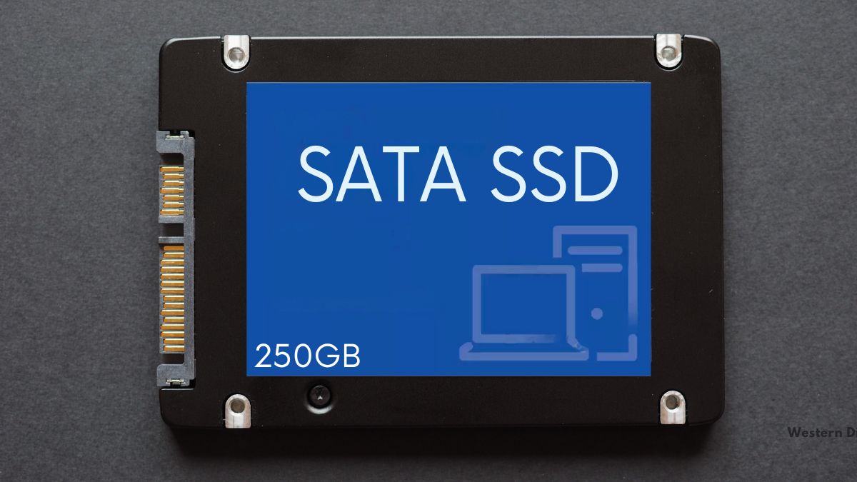 What is SSD: Everything You Need To Know - PCVenus